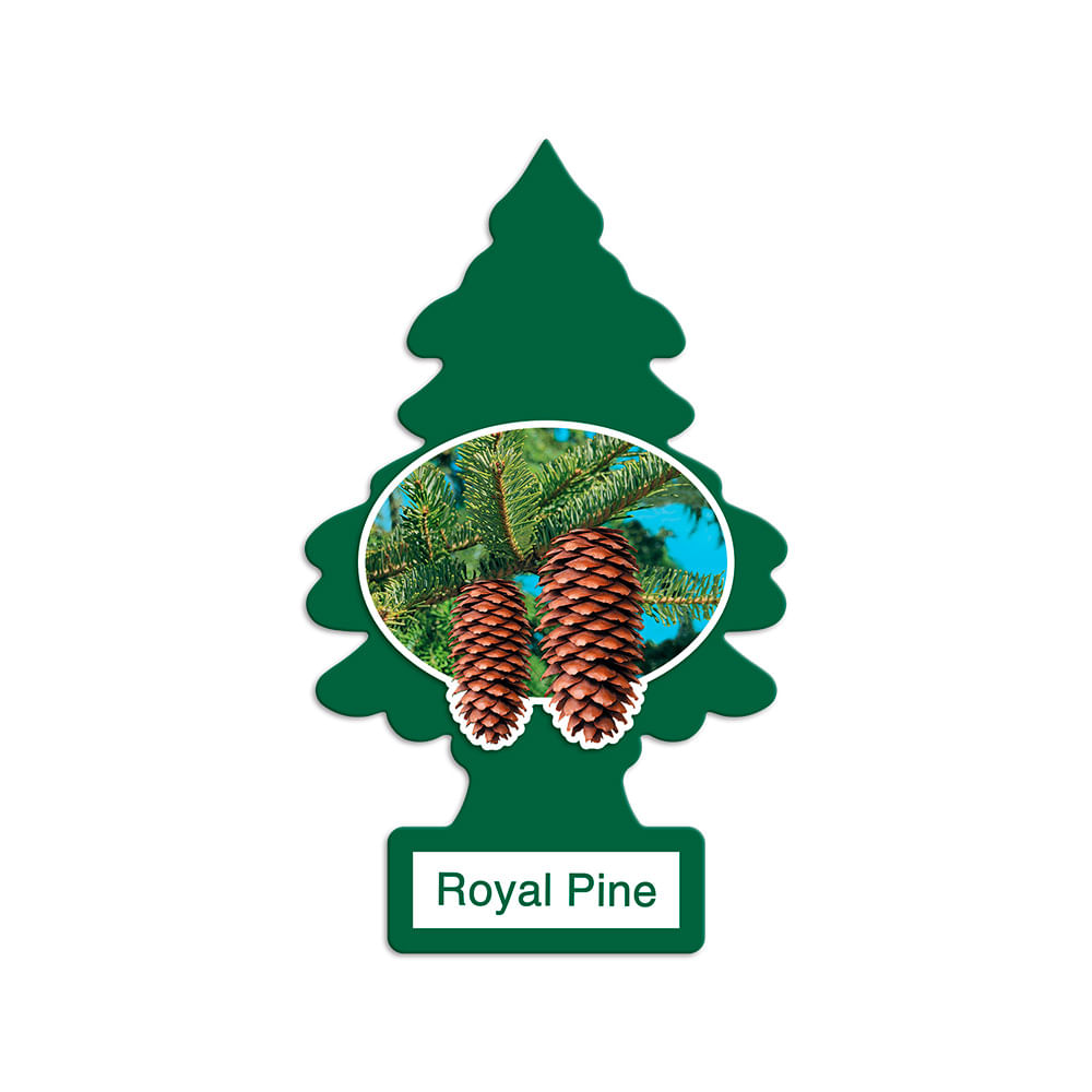 PINITO LITTLE-TREES ROYAL PINE